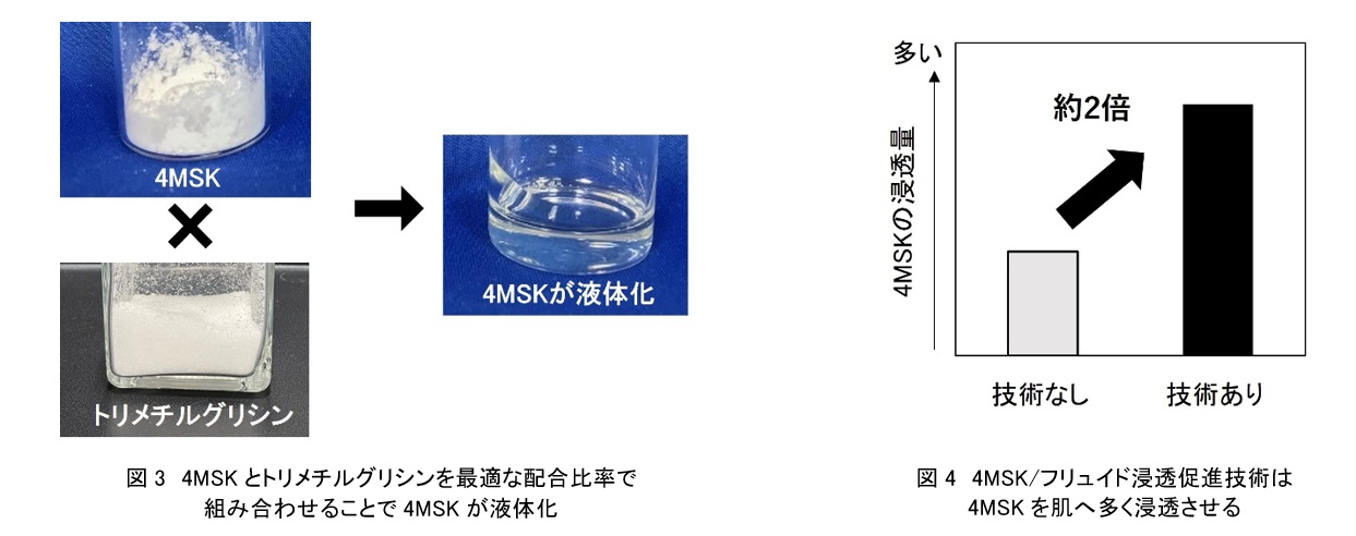 資生堂、独自美白有効成分の皮ふ浸透性を高める「4MSK/フリュイド浸透促進技術」を開発 | 国際商業オンライン | 化粧品日用品業界の国内 ...