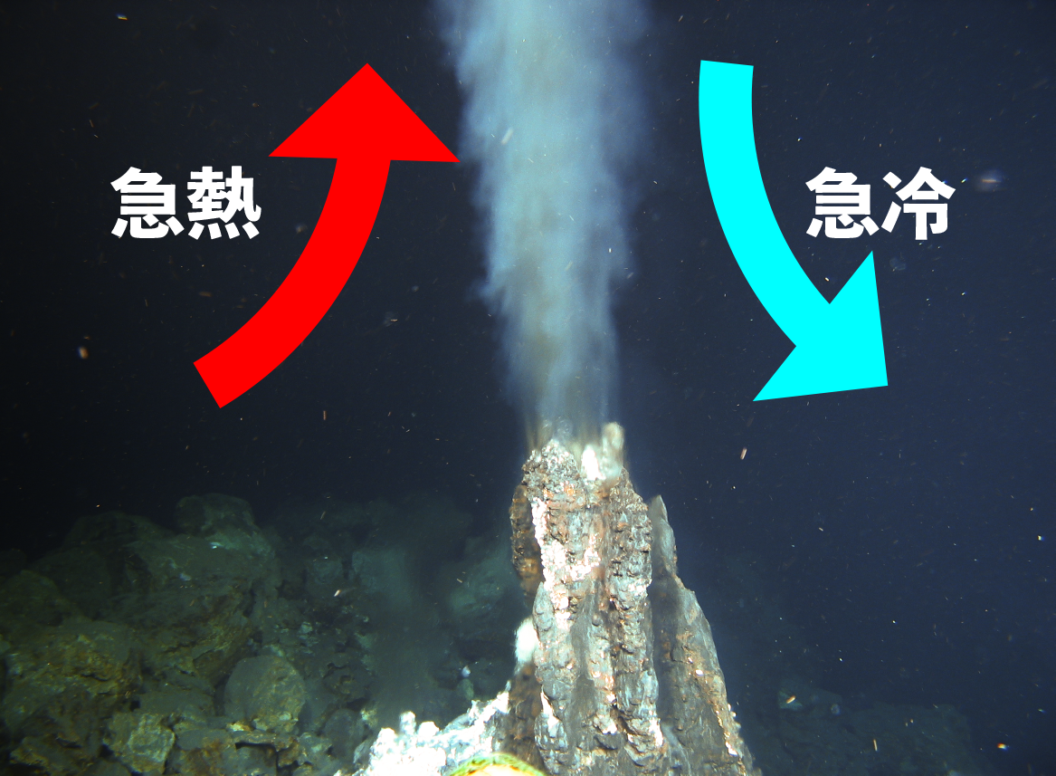 ポーラ化成工業、JAMSTEC、京大と深海に着想を得たナノ乳化技術に成功 | 国際商業オンライン | 化粧品日用品業界の国内・海外ニュース